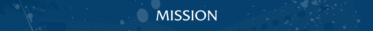Mission & Values | Jack H. Brown College of Business & Public ...